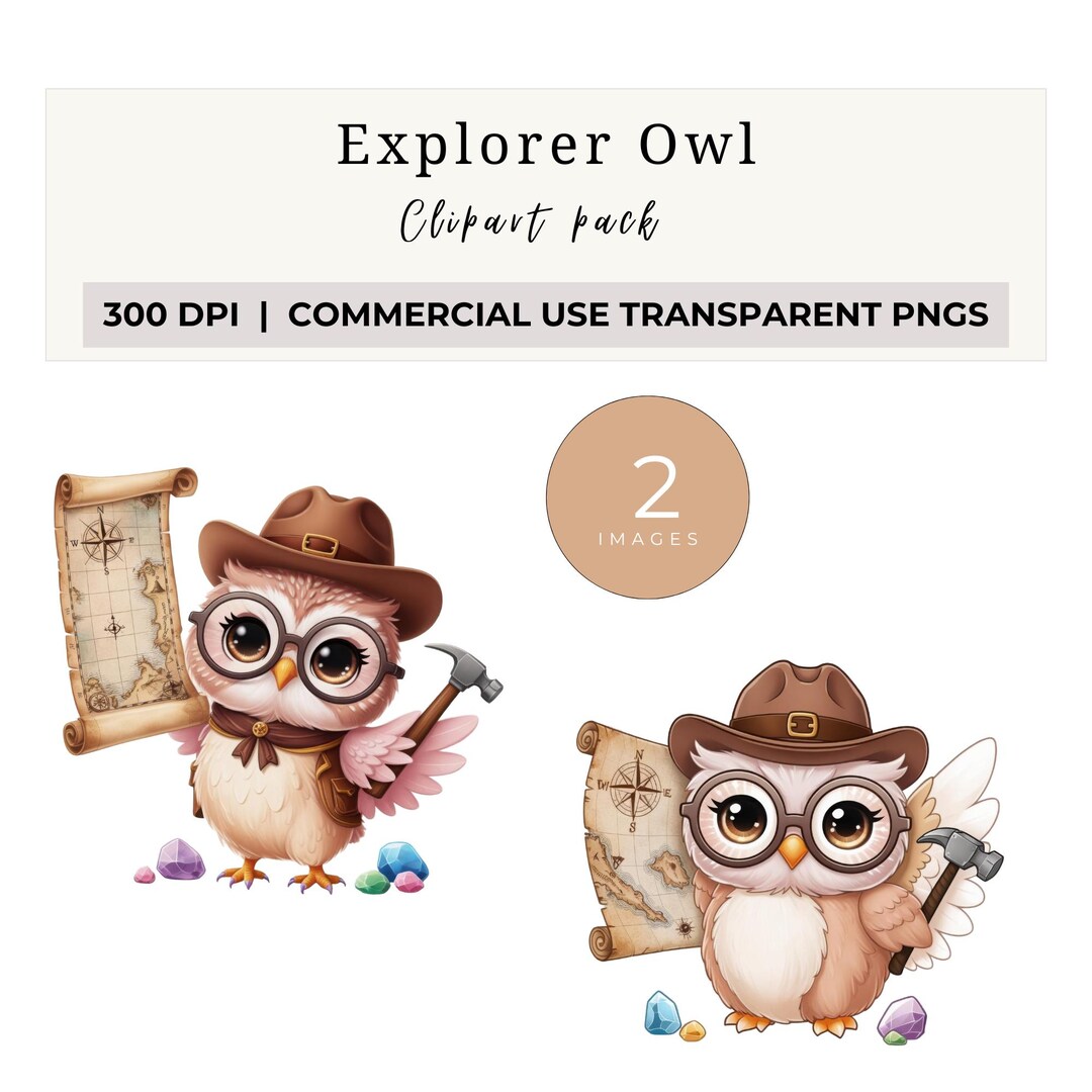 Chibi Explorer Owl Clipart Set , Cute Kawaii Owl Pngs, Perfect for Junk ...