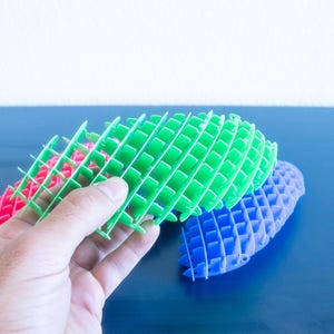 Shape Shifting Fidget Worm Toy, Popular Handheld Stress Reliver, Fun ...