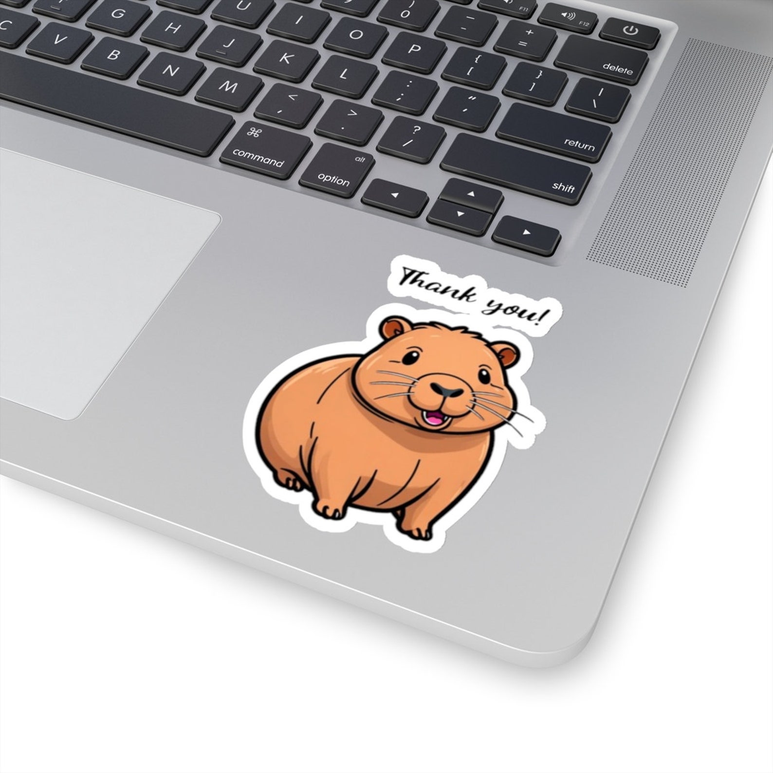 Capybara - Cut Stickers - Etsy