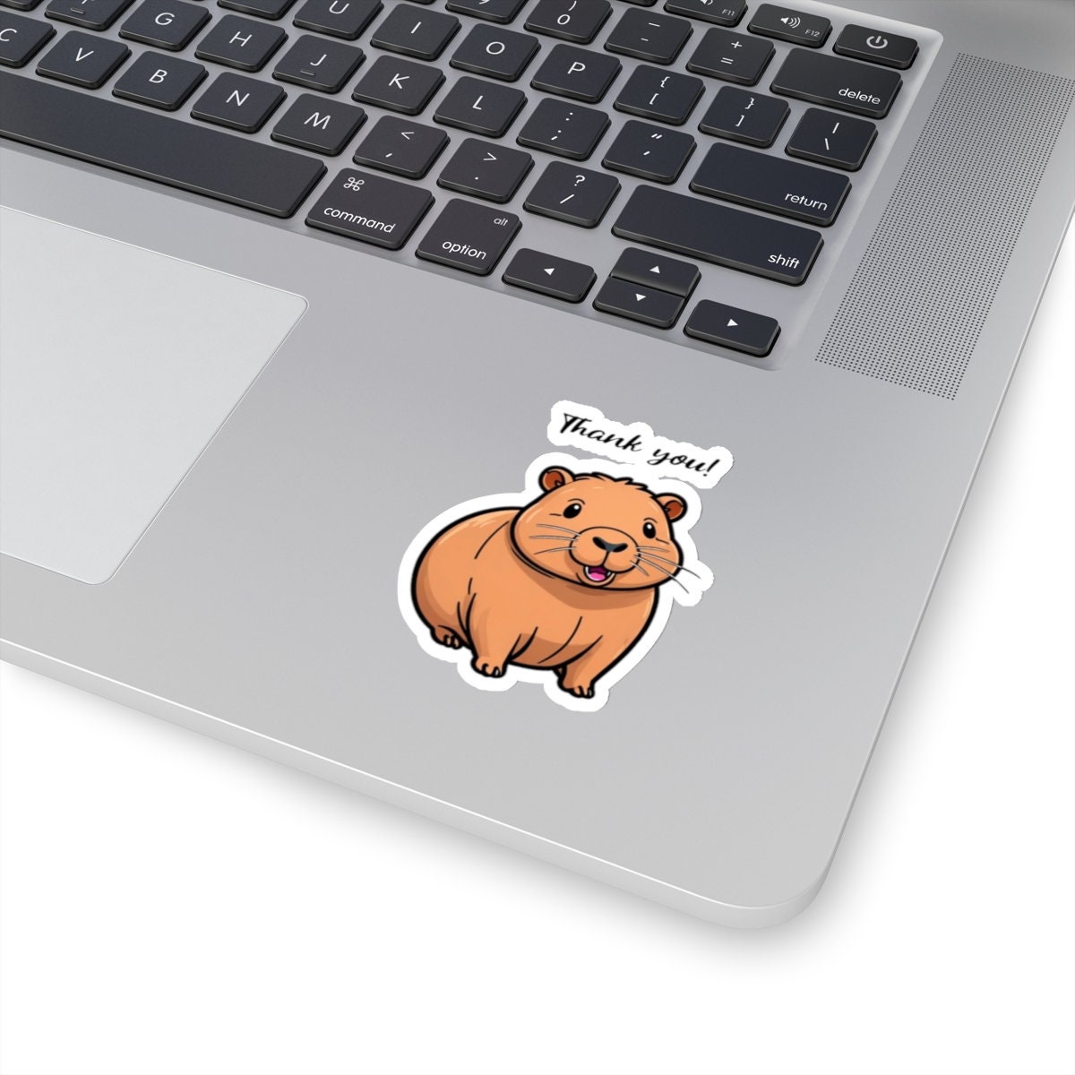 Capybara - Cut Stickers - Etsy