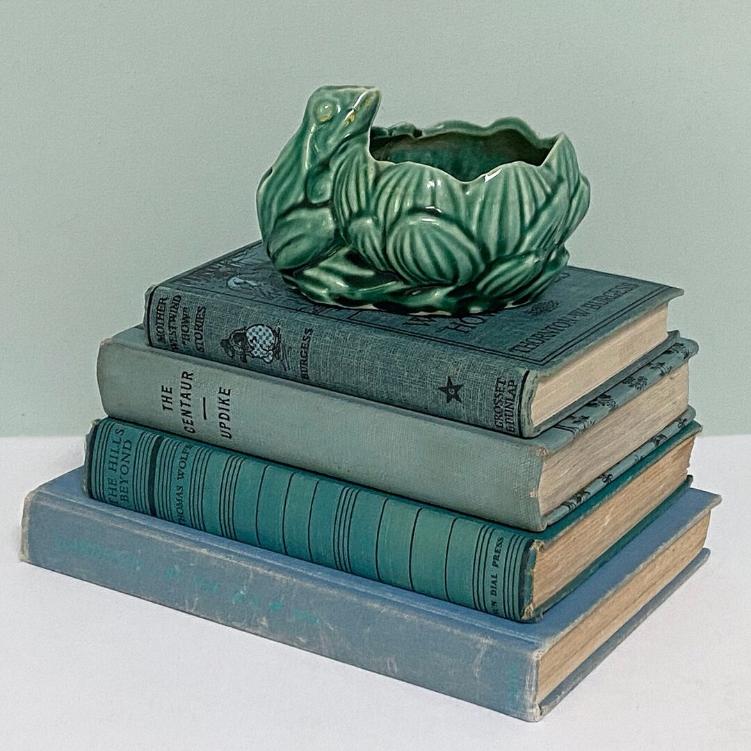 Mid-century Green Frog Pottery Planting Dish Ceramic Planter - Etsy
