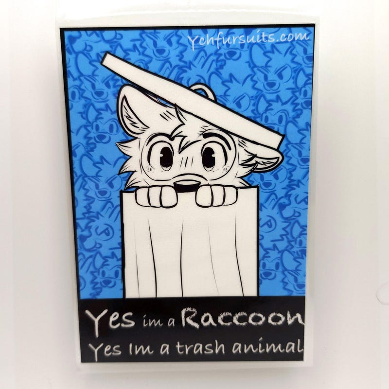 Raccoon Fursona - Etsy