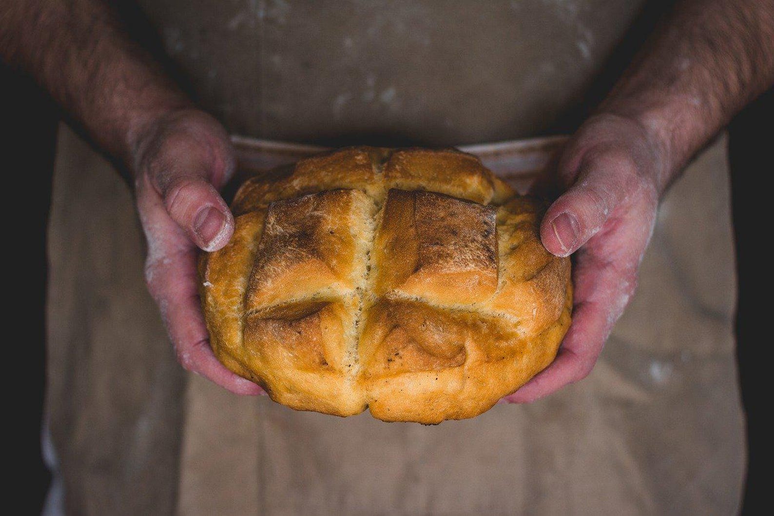 The Bread Baker's Companion: A Century of Recipes for Every Occasion ...