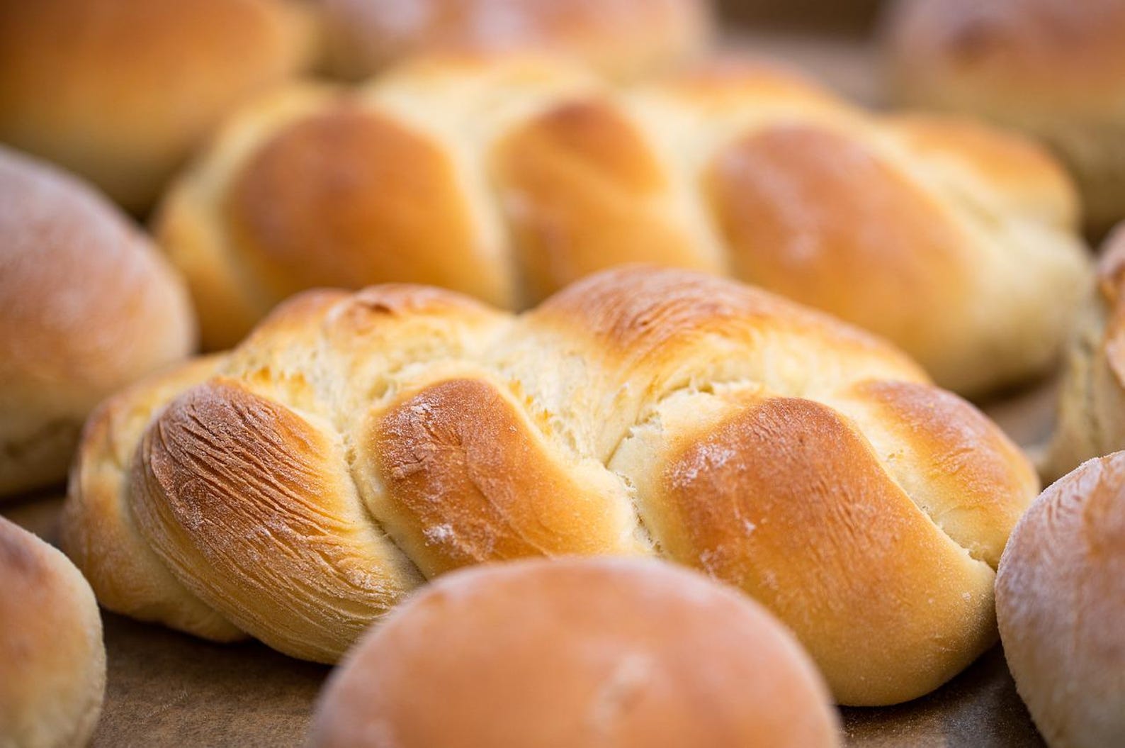 The Bread Baker's Companion: A Century of Recipes for Every Occasion ...