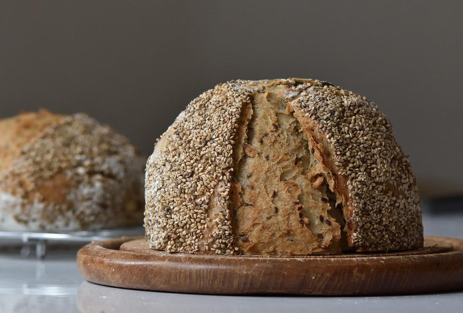 The Bread Baker's Companion: A Century of Recipes for Every Occasion ...