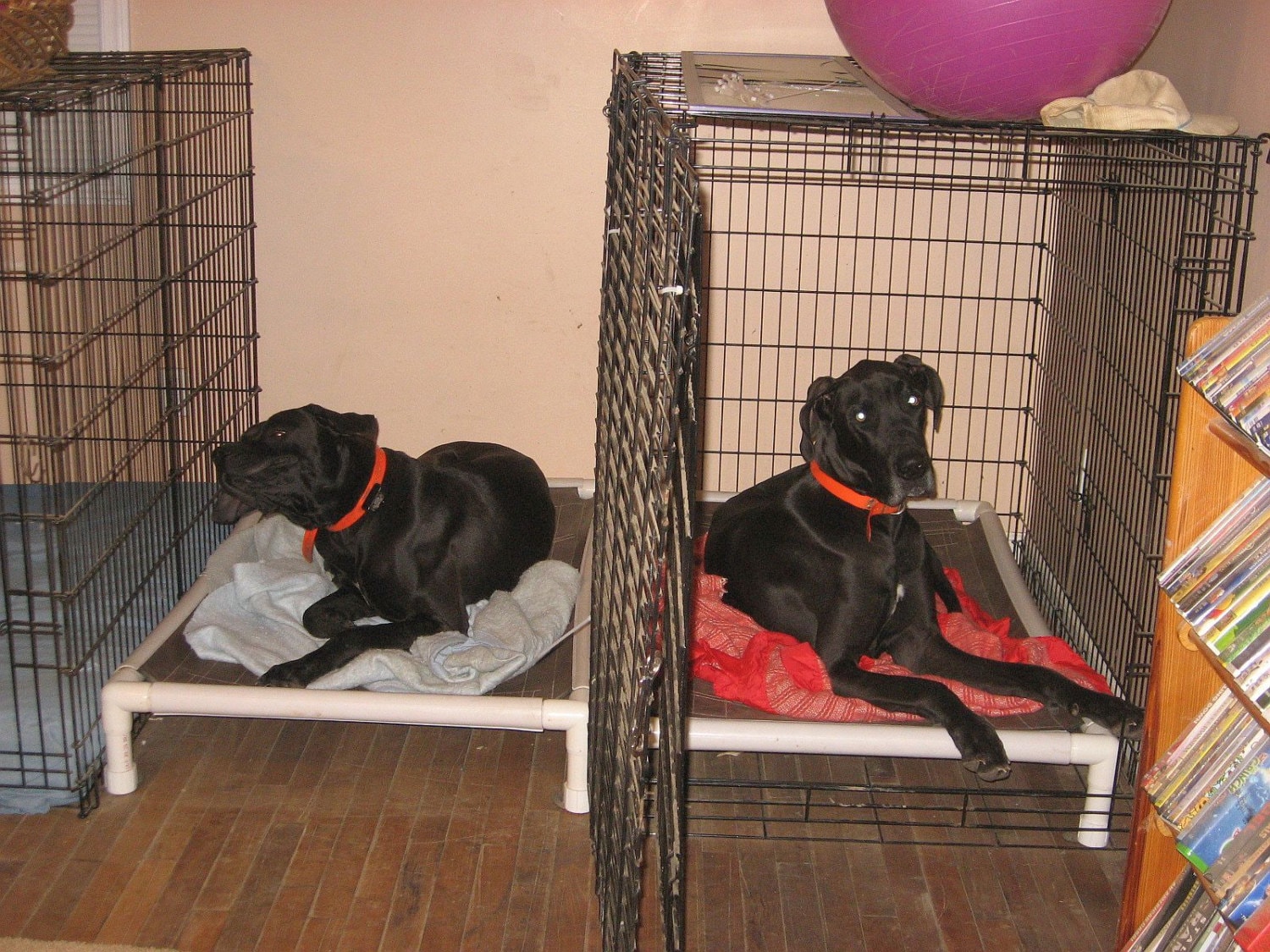 Chew Proof Dog Bed Chew Guards Included 4 Sizes 15 Canvas or | Etsy