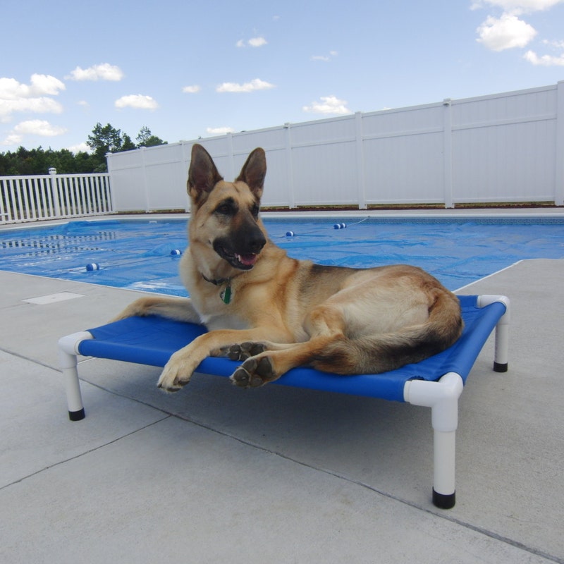 Pvc Dog Bed - Etsy