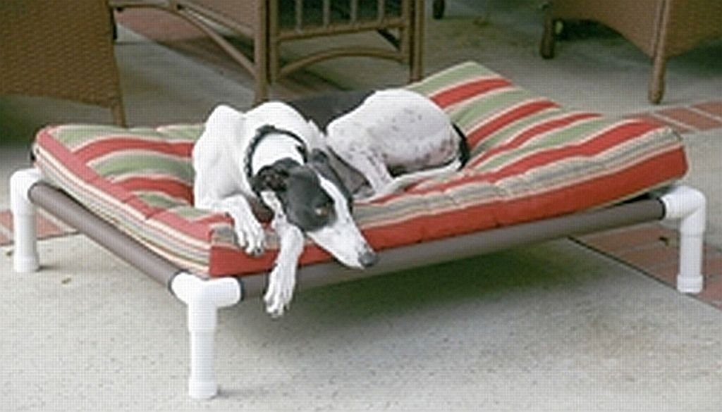 Dog Bed. Custom Made Cots, Elevated Bed Cot. Marine Boat Canvas 15 ...