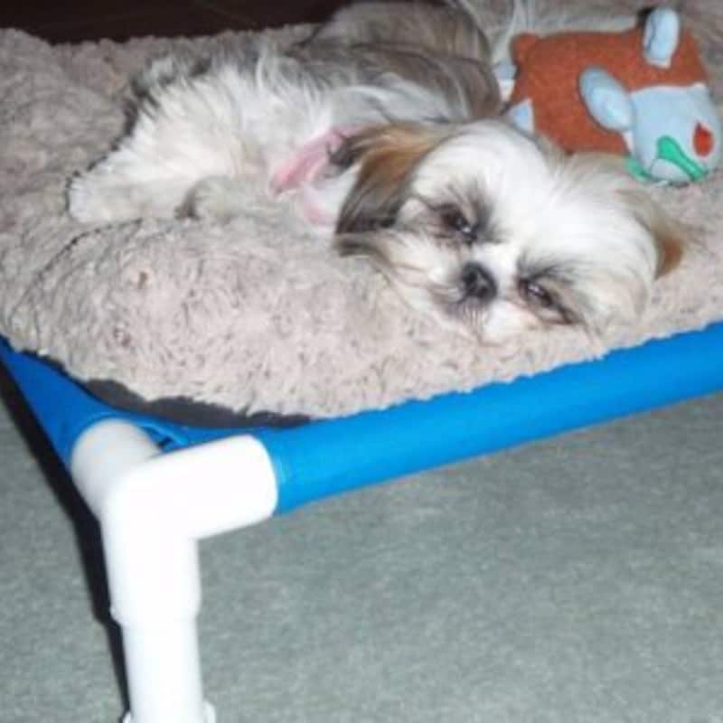 Pvc Dog Bed - Etsy
