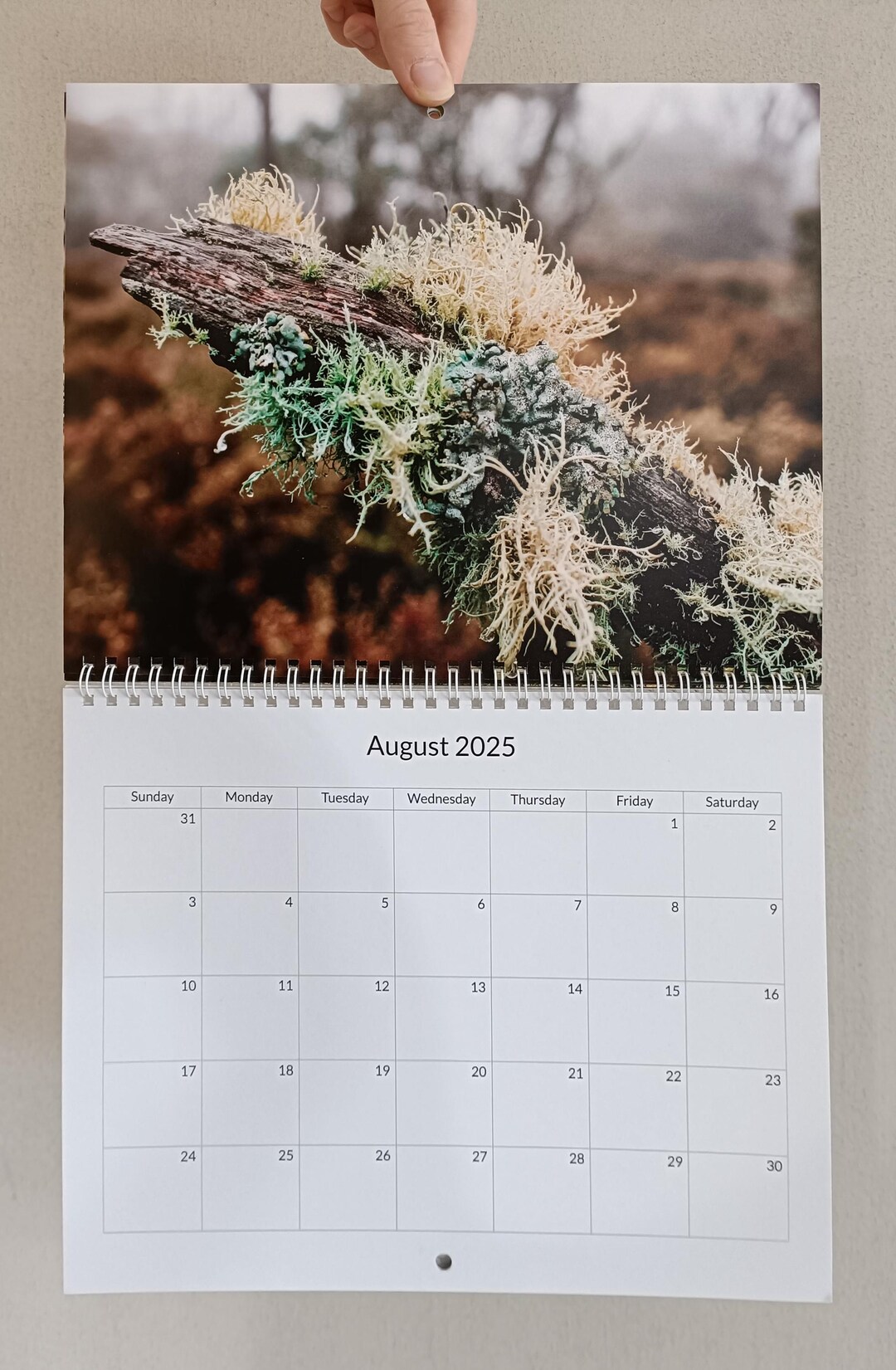 2025 Calendar mossy Nature Original Photographer Australian Bush Moss ...