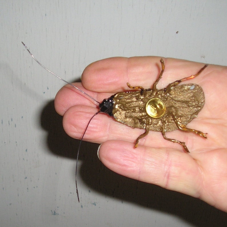 ROACH BROOCH | Etsy