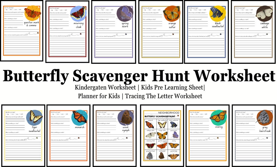 Butterfly Scavenger Hunt Worksheet Kindergarten Worksheet - Etsy