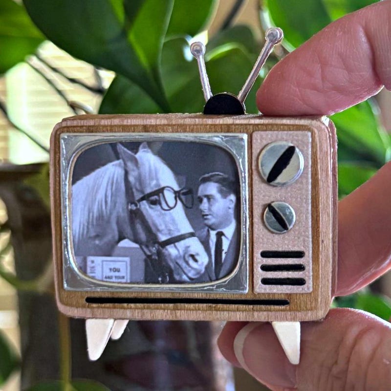 Mr Ed - Etsy