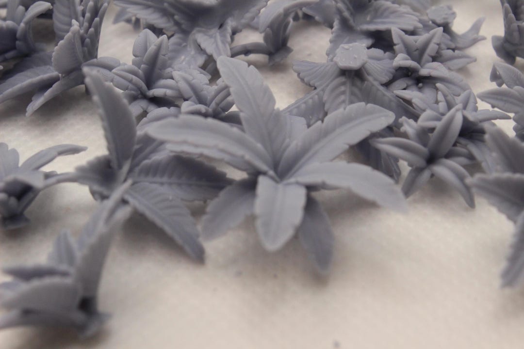 Basing Bits Assorted Ferns 50 Pack - Etsy