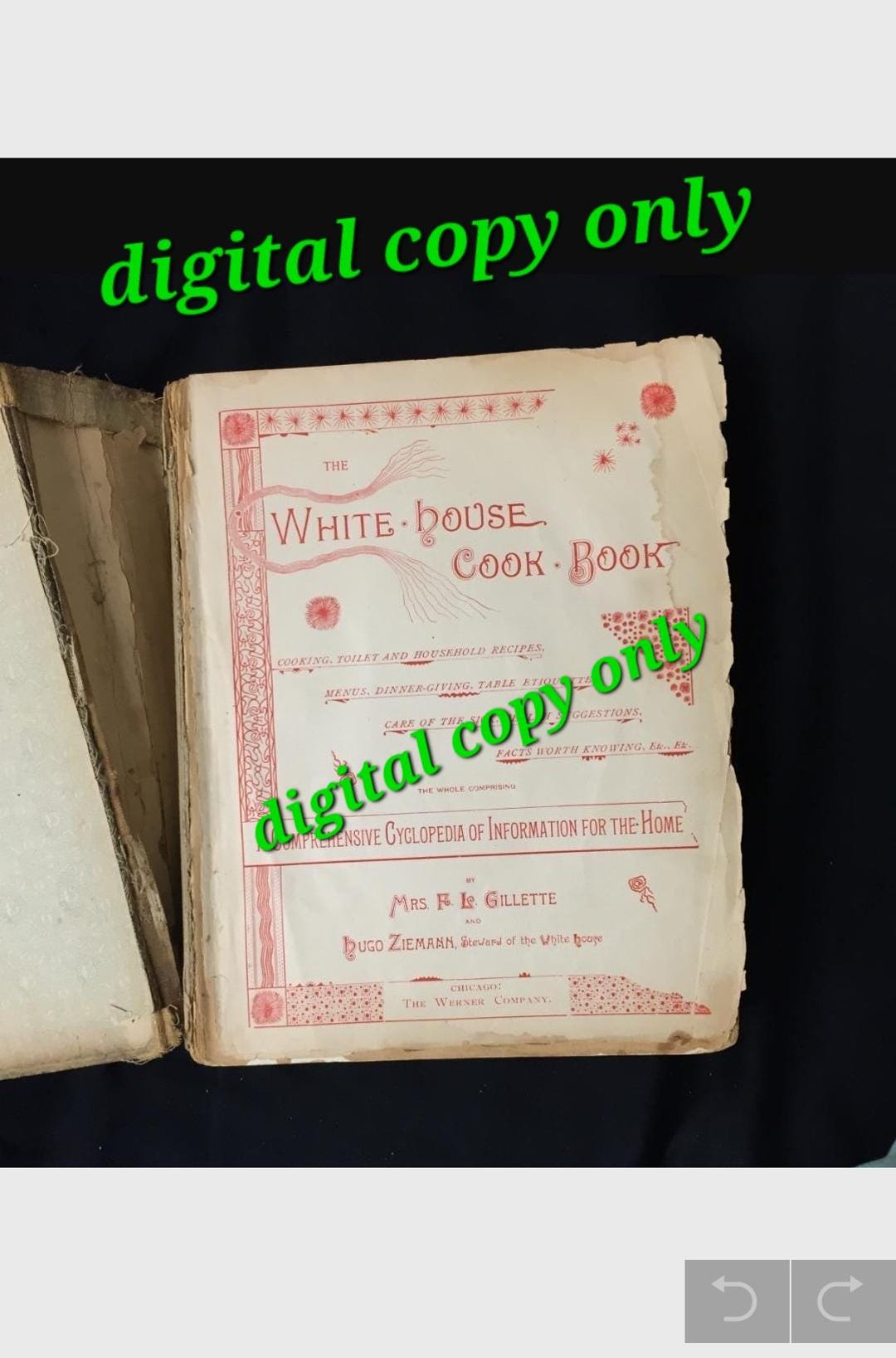 1887 White House Cookbook: Vintage Historical Recipes (digital Copy) - Etsy
