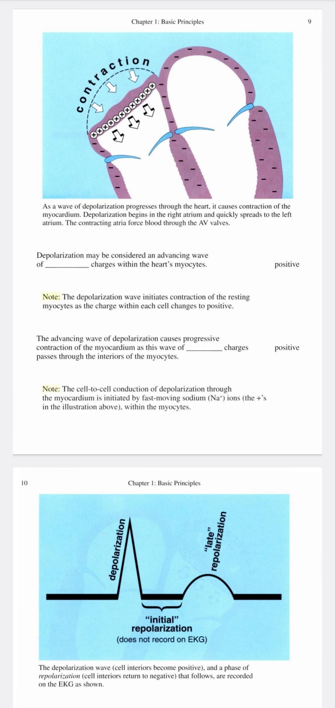 Rapid EKG Interpretation Textbook: 6th Edition, Dale Dubin (PDF) - Etsy