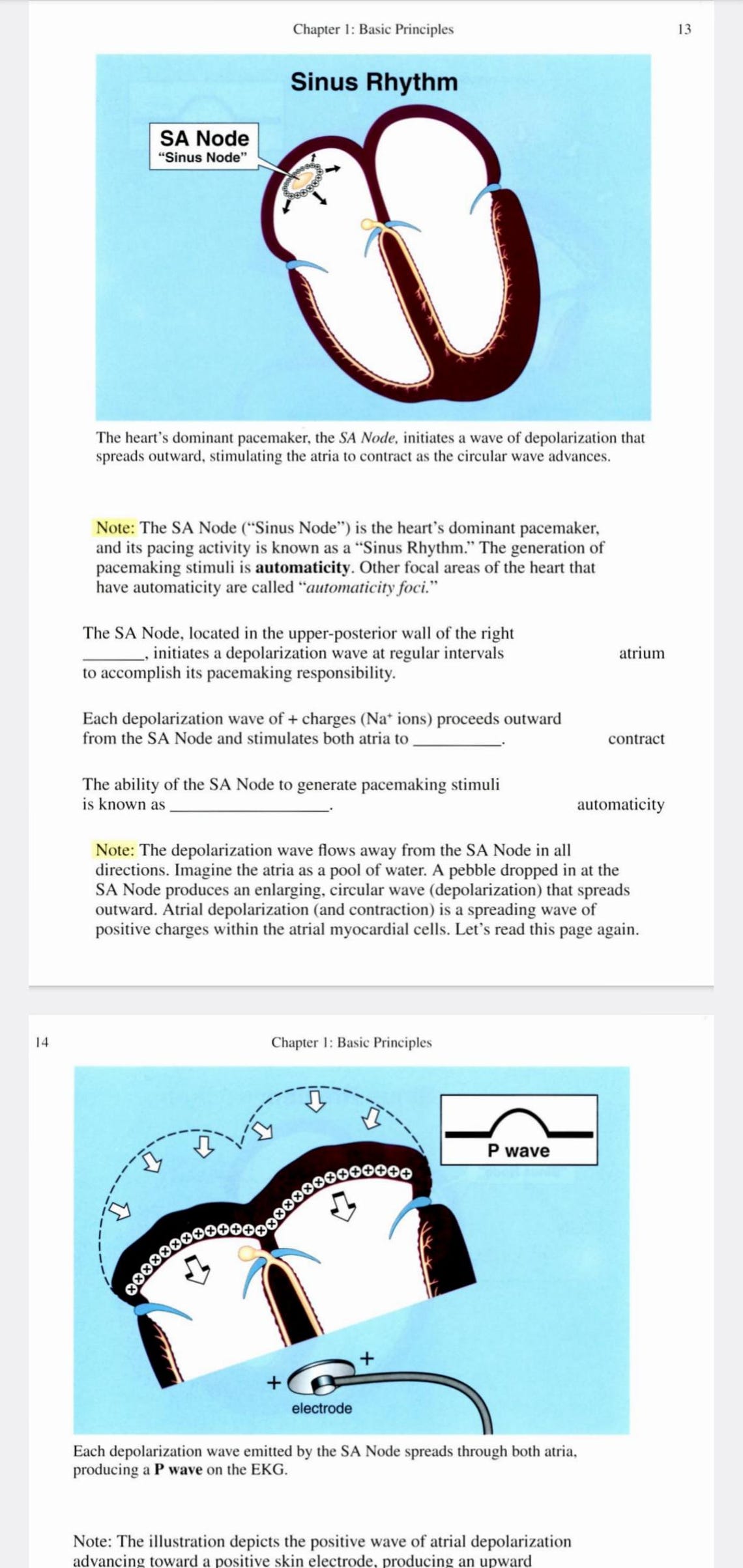 Rapid EKG Interpretation Textbook: 6th Edition, Dale Dubin (PDF) - Etsy