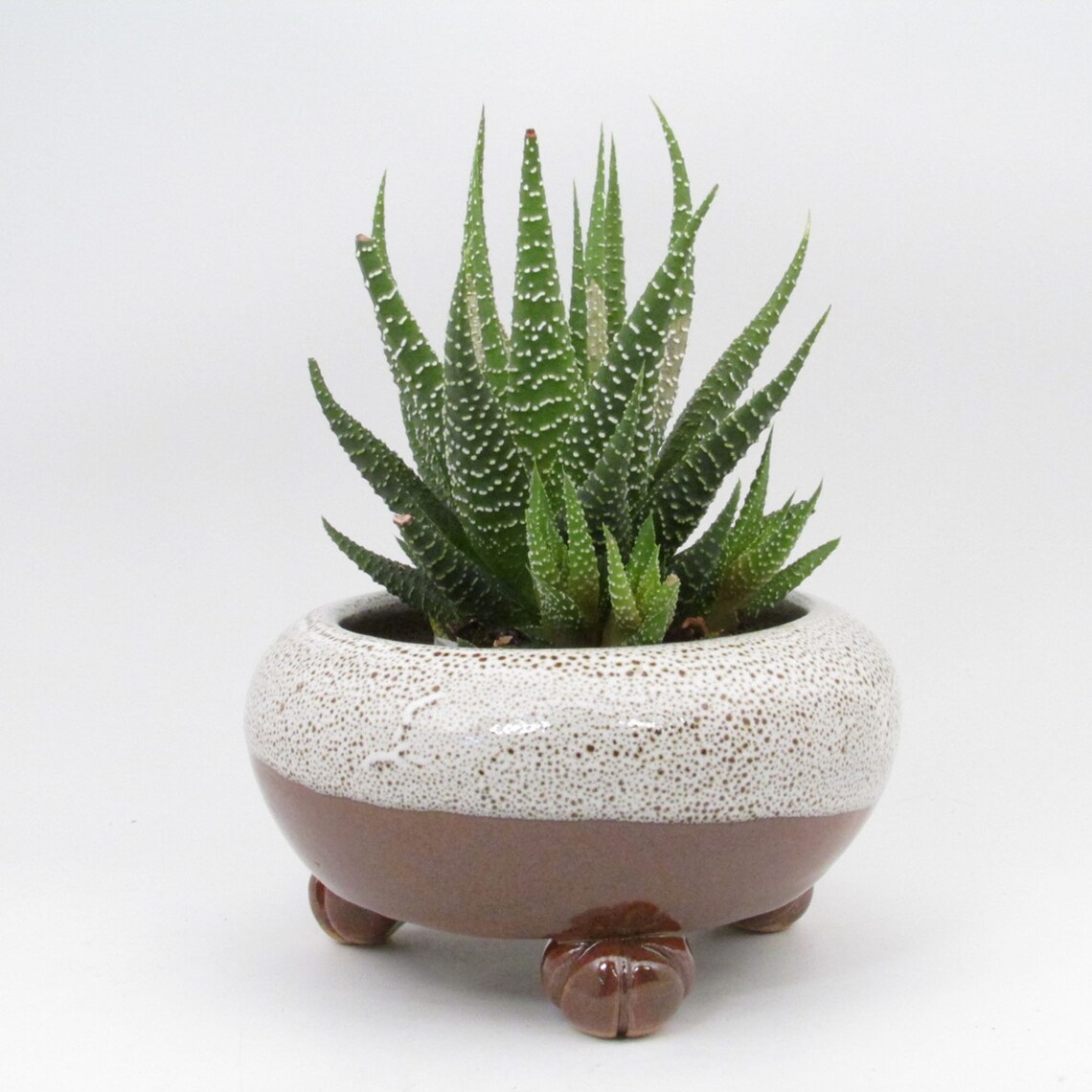 Succulent Pot, Footed Planter, Cactus Planter, Kitchen Herb Pot ...