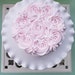 Princess Fake Cake. Pastel Pink. Photo Prop. Fake Cake for Display ...