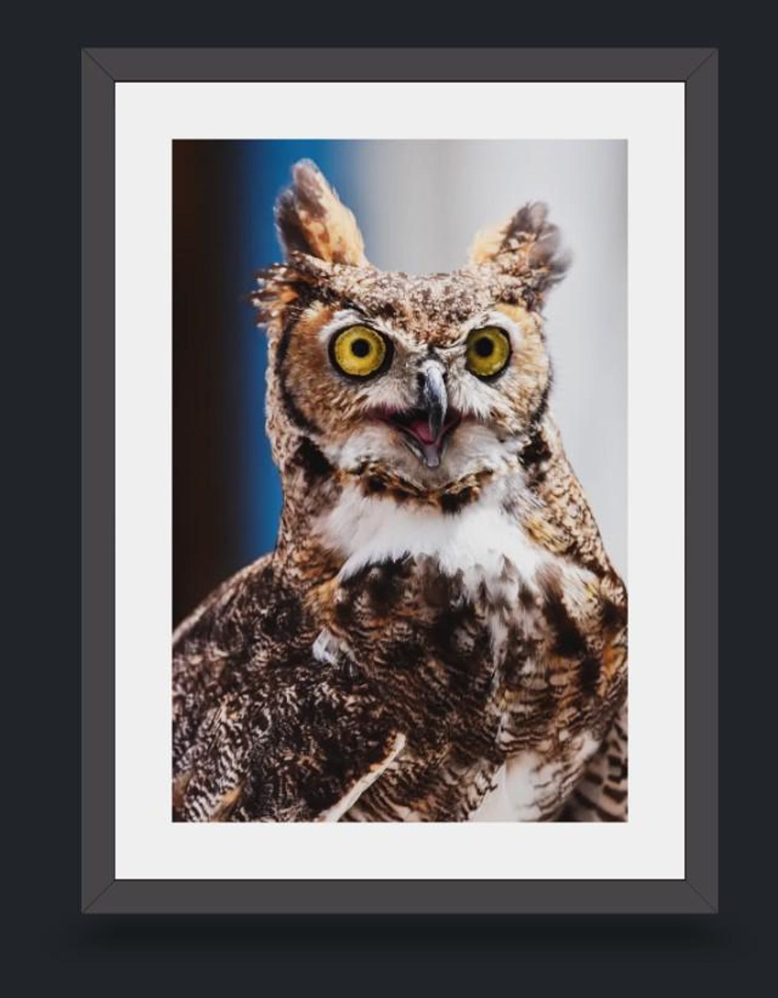Great Horned Owl Photo Print, Canvas, HD Metal, Paper Print, Framed ...