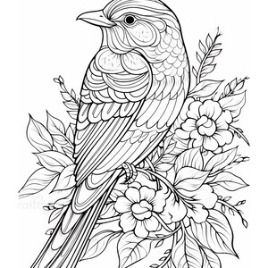 Mindfulness Birds Coloring Book Printable Relaxation Coloring Pages - Etsy
