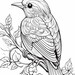 Mindfulness Birds Coloring Book Printable Relaxation Coloring Pages - Etsy
