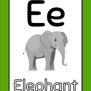 A-Z Flash Cards: Fruits and Animals - Etsy
