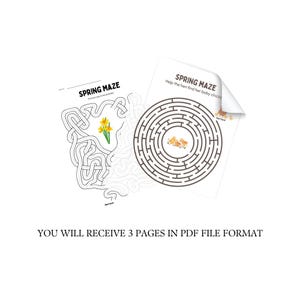 Printable Spring Mazes for Kids | 3 Fun & Engaging Activity Worksheets ...