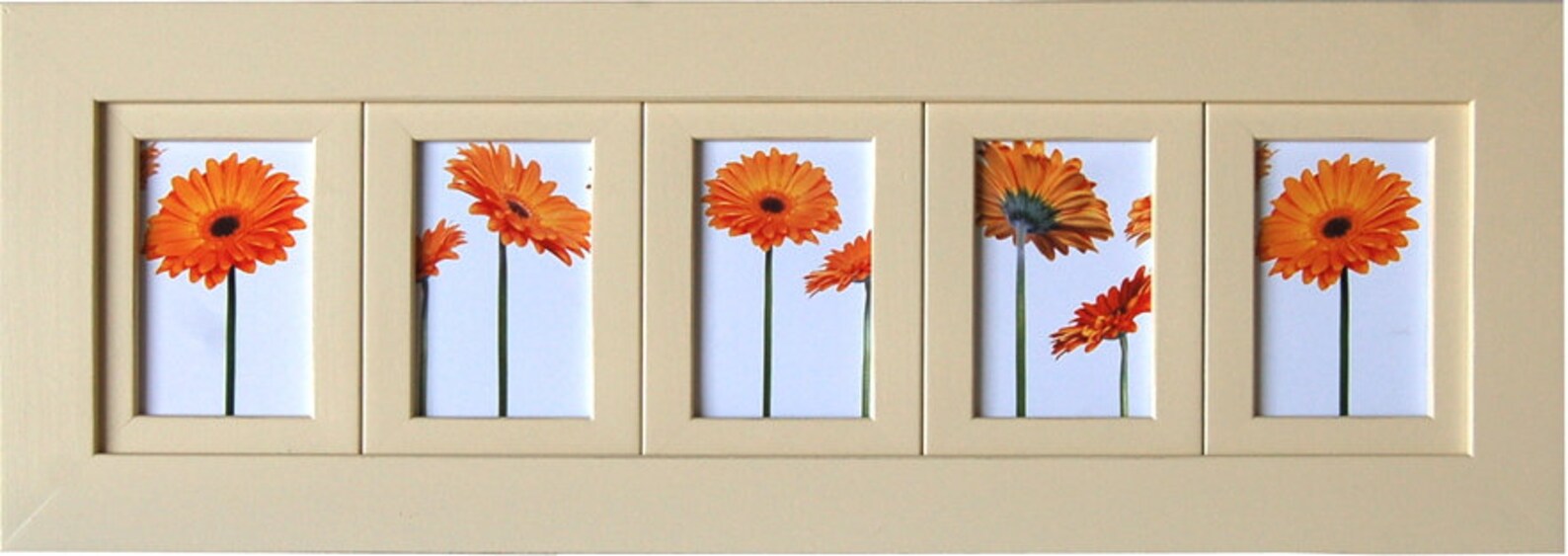 Five Opening Collage Picture Frame With Five Portrait Picture Openings ...