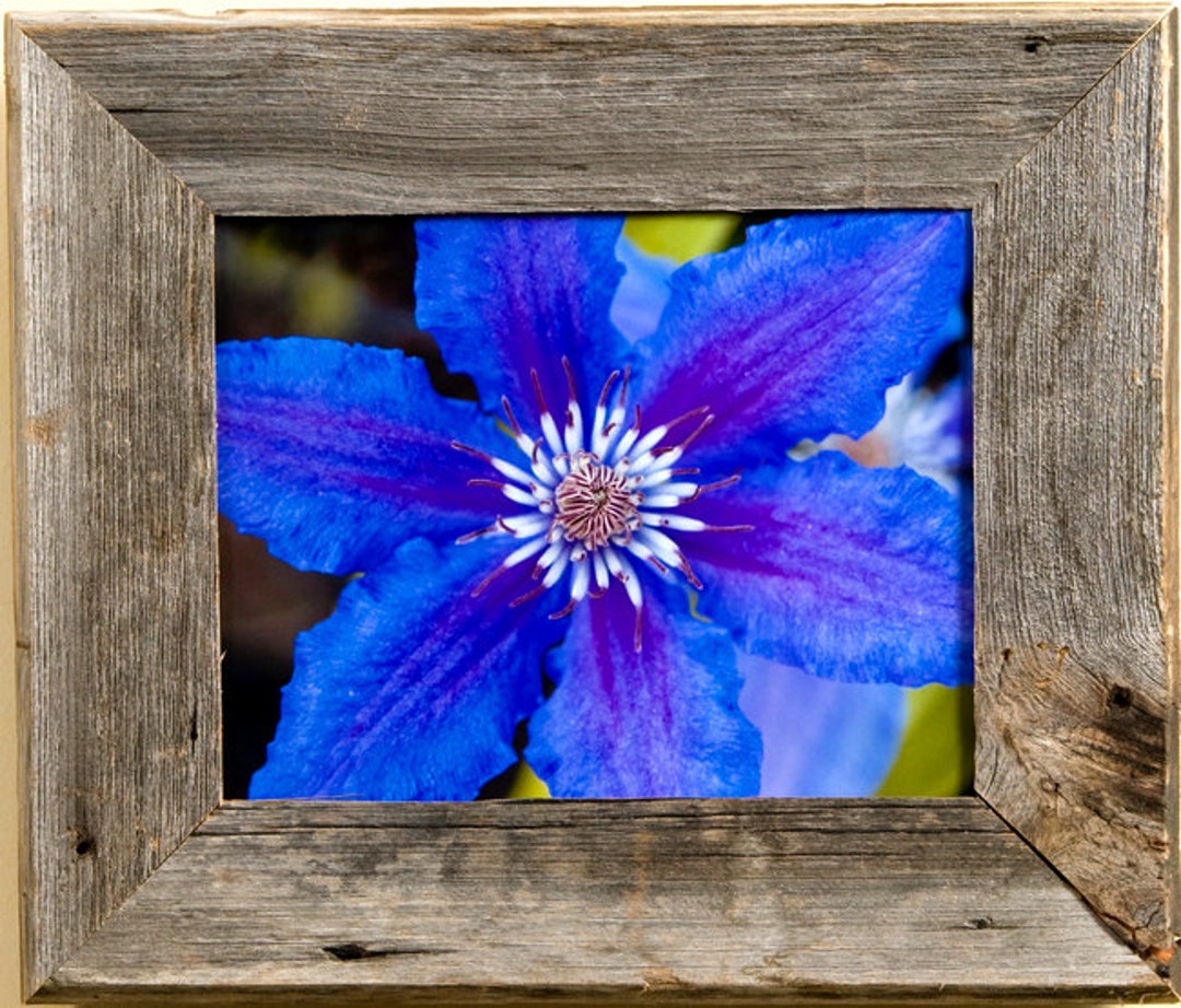 Barnwood Picture Frame, Medium Width 2.5 Inch, Aspen Series With ...