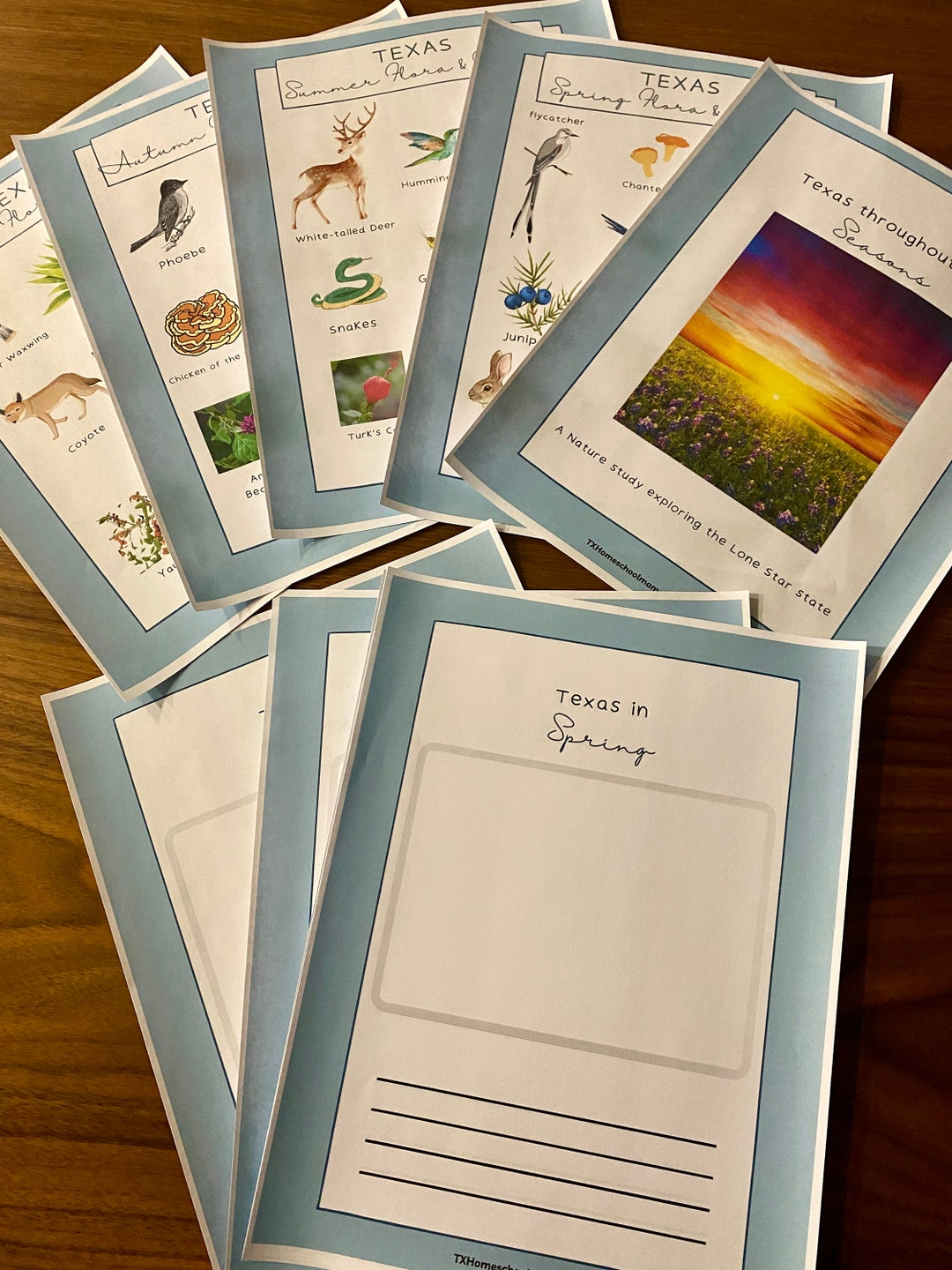 Texas Flora & Fauna Nature Study Homeschool Waldorf Inspired Lesson ...