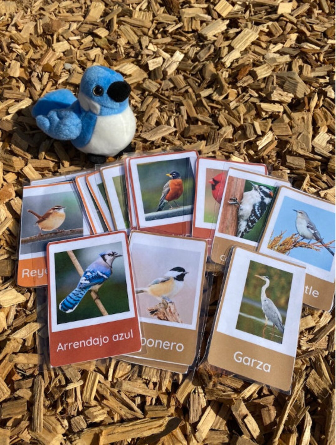 Birds of North America Flashcards Pájaros De Norte America Bilingual ...