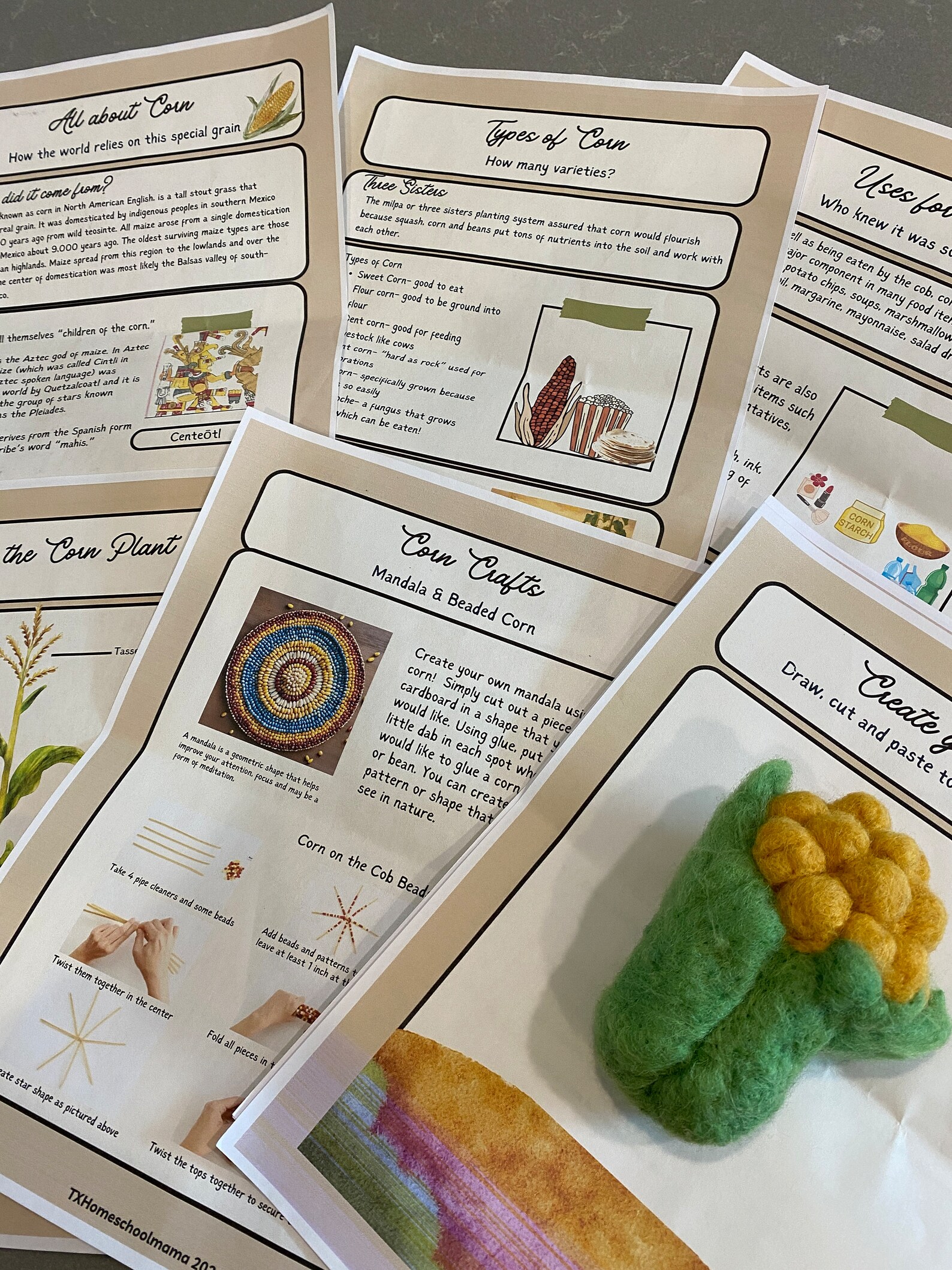 Corn History & Activities Homeschool Lesson (spanish) - Etsy