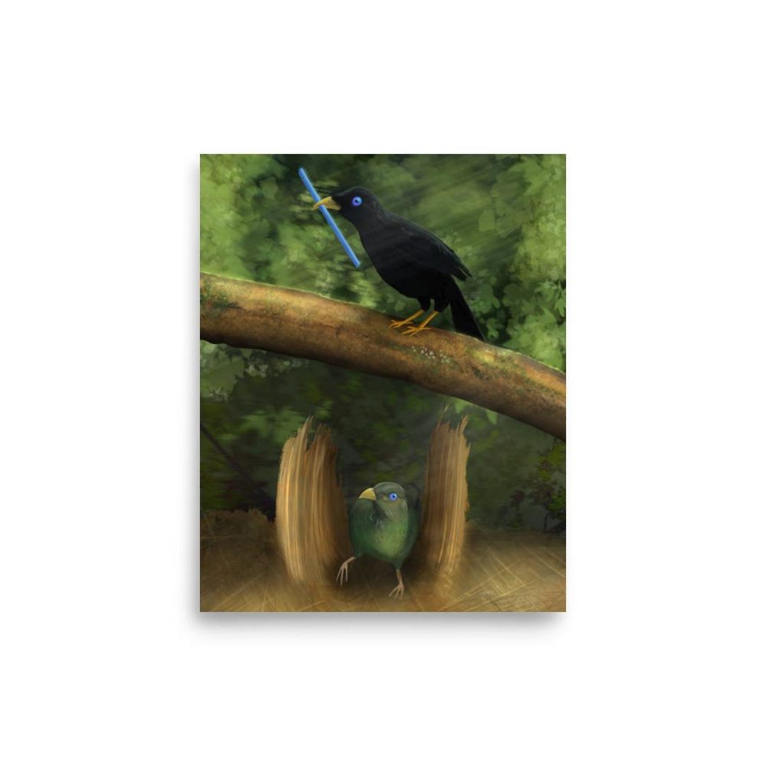 Bowerbird Nature Poster – Lemme Smash Meme-inspired Art Print in ...