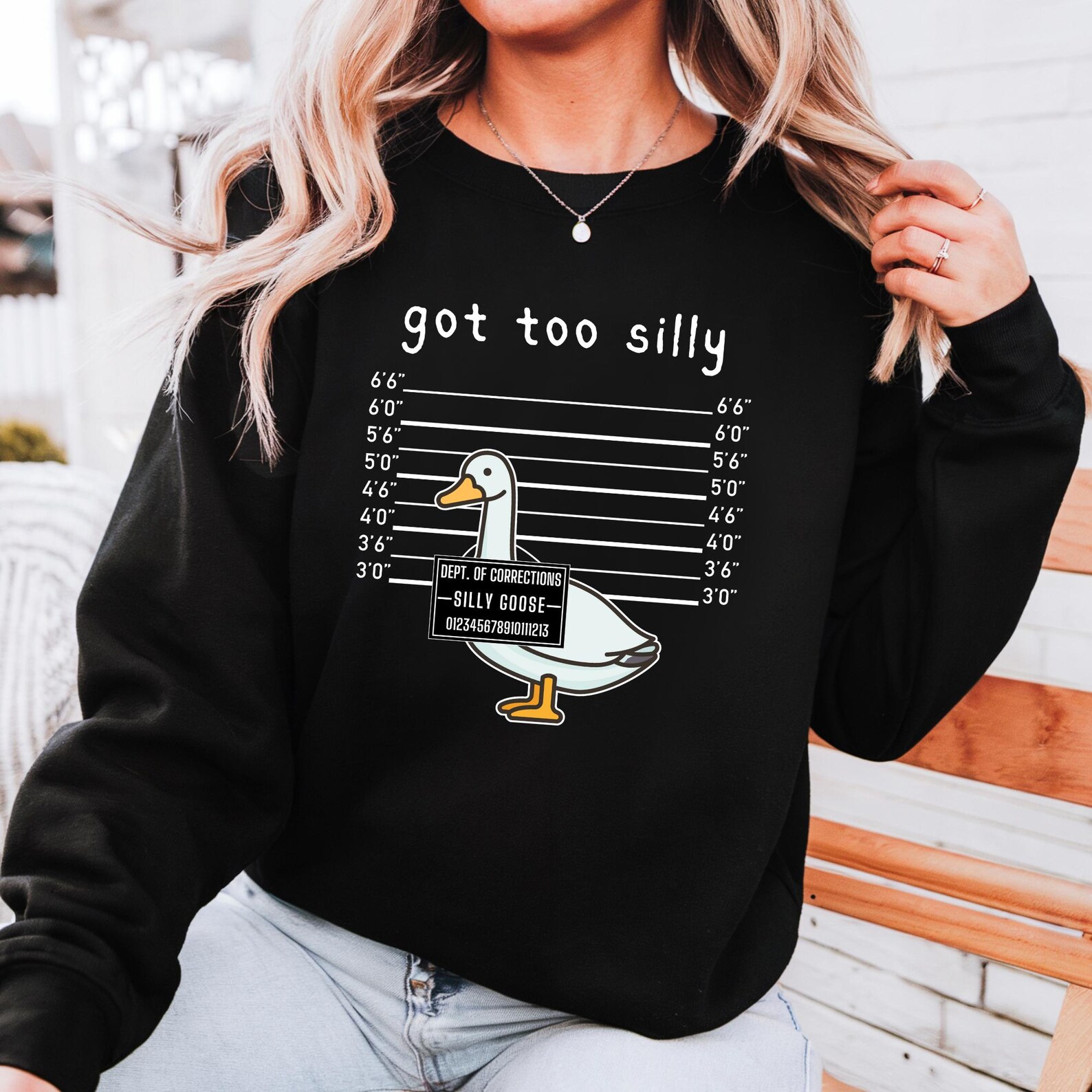 Silly Goose Sweatshirt: Got Too Silly Mugshot Jail Goose - Etsy