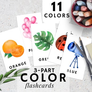 Color Flash Cards for Kids, Printable PDF, Educational Learning Tool ...