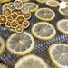 Dehydrated Lemon Slices: Cocktail Garnish, Tea and Cake Decor 100g Bag ...