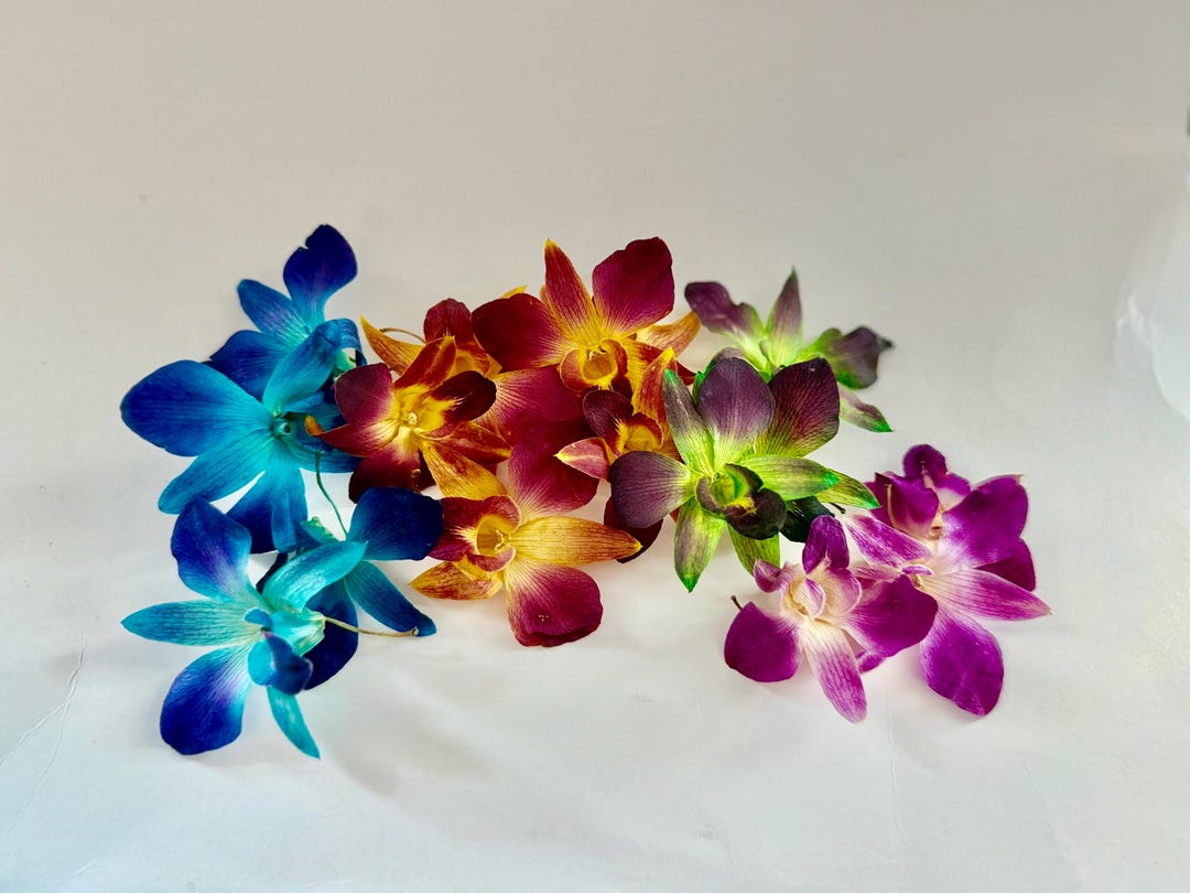 Dried Purple Orchids: DIY Craft & Cocktail Garnish (10 Pieces) - Etsy