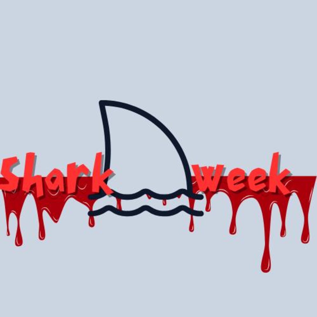 Shark Week Period Supplies - Etsy