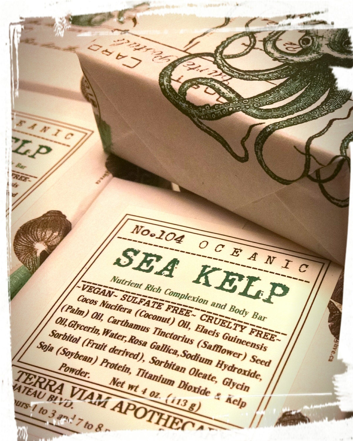 OCEANIC SEAWEED kelp Soap Bar Fresh From the Sea and Sooooo - Etsy