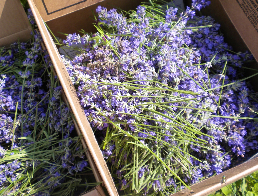 How About All Things LAVENDER? Gift Box. Free Shipping in the ...
