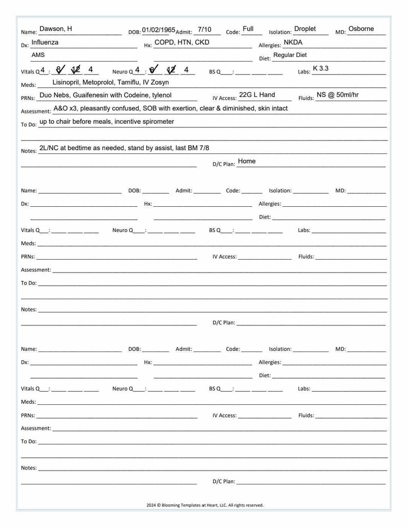 Simple Nursing Assignment Sheet for up to 3 Patients! - Etsy