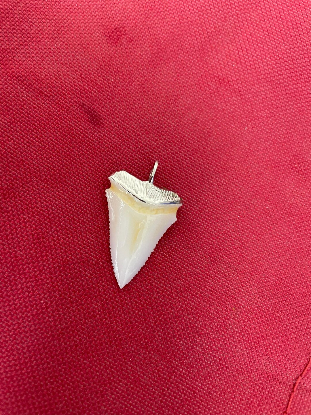 Replica Great White Shark Tooth Pendant - Etsy