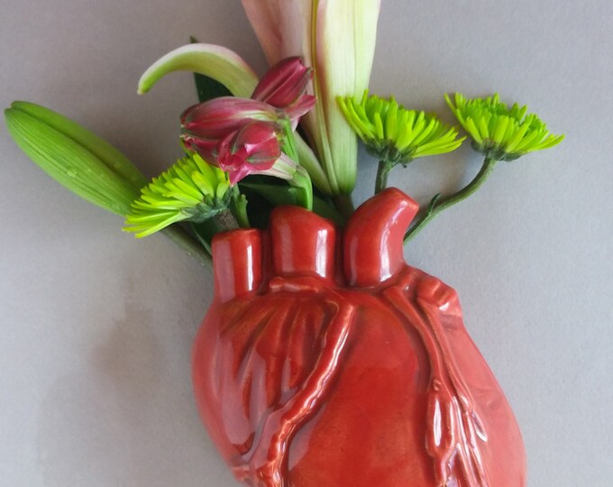 Human Heart Wall Vase Human Heart Vase, Holds Water for Fresh Flowers ...