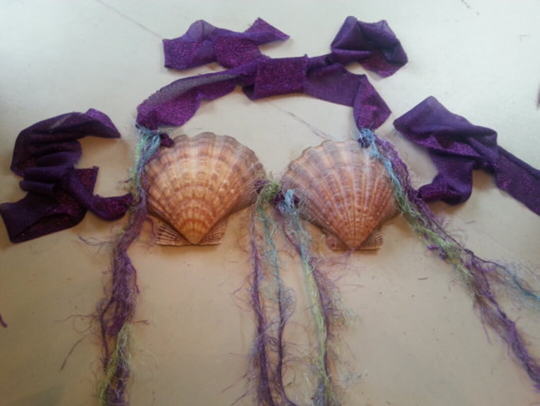 Mermaid Sea Shell Bra - Etsy