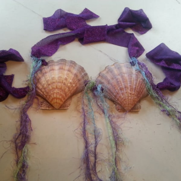 Sea Shell Bra - Etsy