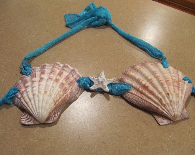 Seashell Bra - Etsy