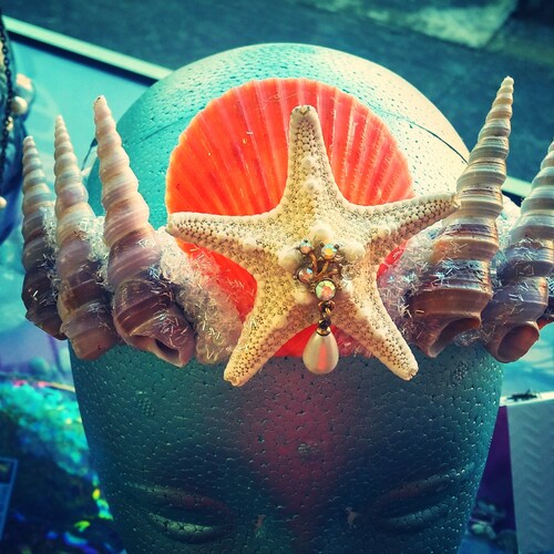 Shell Crown - Etsy