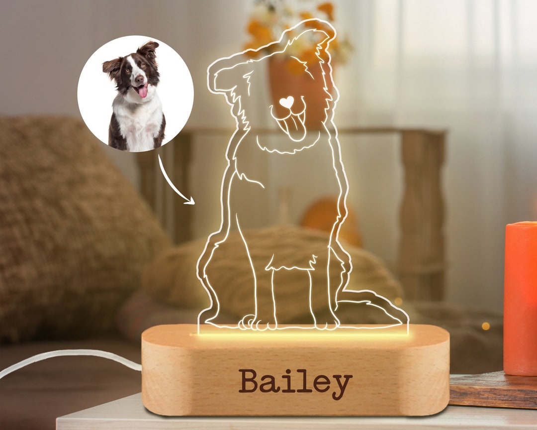 Custom Pet Portrait Night Light, Dog Lamp, Personalized Pet Photo Lamp ...