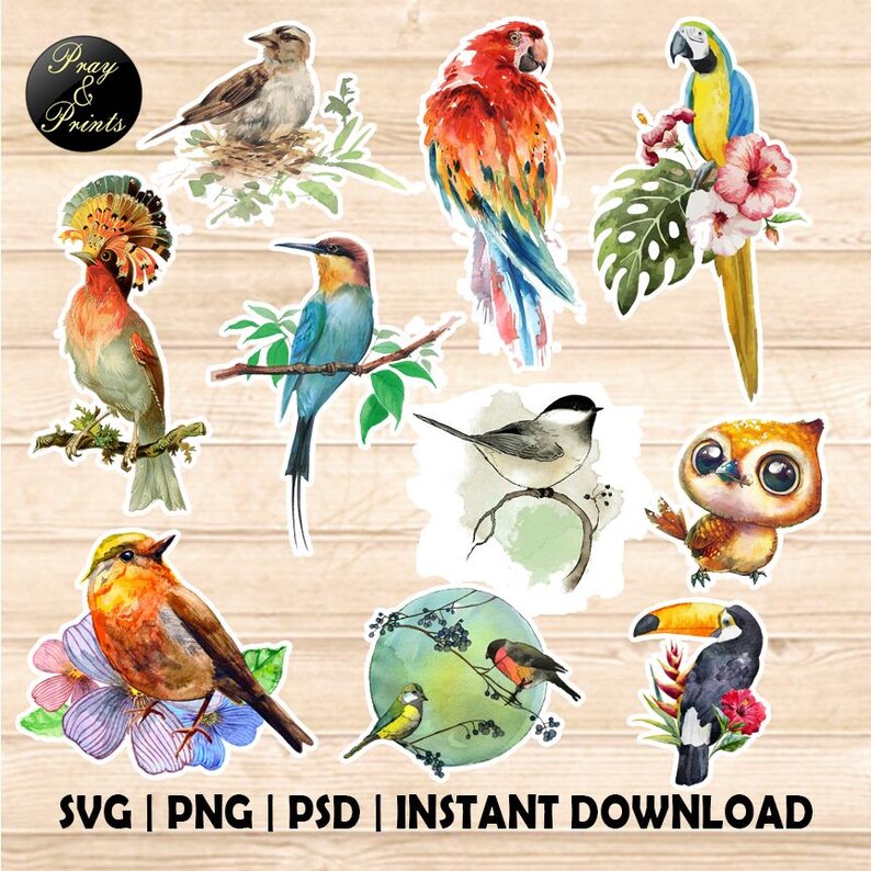 Birds Fly Bird Flying Colourful Feather Illustration, Digital Print ...